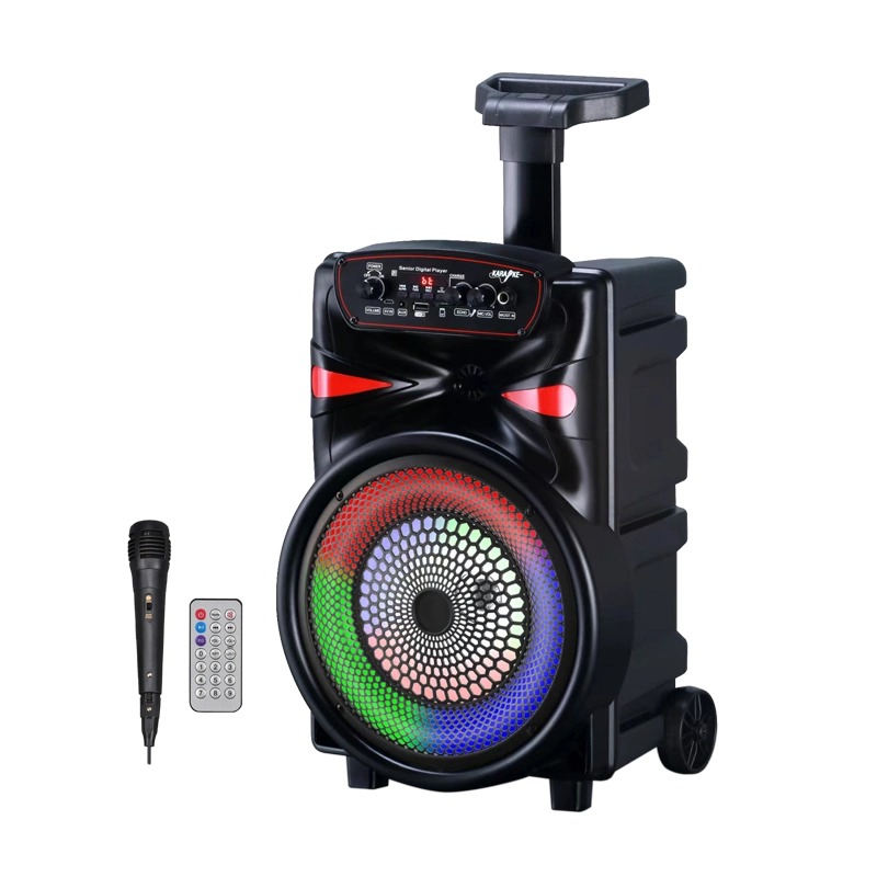 15 Inch Portable Rechargeable Outdoor Trolley Bluetooth Speaker with Mic - wyncotek.com